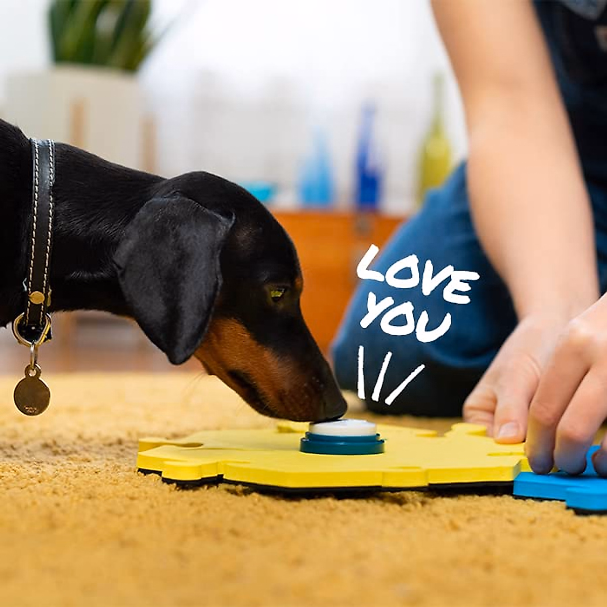 FluentPet Sound Button Tester Kit - Dog Buttons for Communication - Compact Talking Buttons for Dogs and Cats - Dog Talking Button Set with 2 Recordable Buttons and 2 Compact HexTile Soundboard Mats