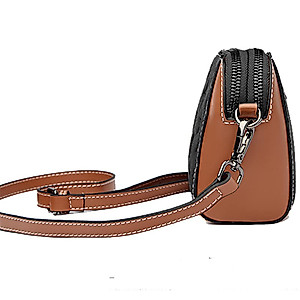 Lecxci Small Women's Soft Vintage Leather Crossbody Travel Smartphone Bag Wristlets Clutch Wallet Purse (Patchwork-Black)