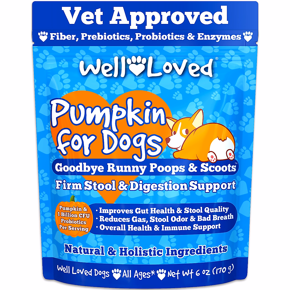 Well Loved Pumpkin for Dogs - Pumpkin Puree, Canned Pumpkin (Alternative), Fiber for Dogs, Probiotic Powder, Pumpkin Powder, Dog Diarrhea, Digestive Support, Perfect for Firm Poops and No Scoots, 6 oz