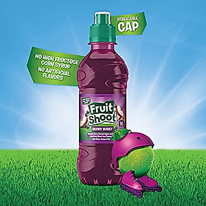 Fruit Shoot, Berry Burst, 10.1 Fl Oz Bottles (Pack of 24)