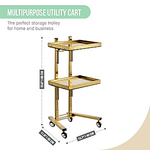 Multifunctional 2-Tray Utility Cart on Wheels - Gold 2-Level Medical Trolley Cart - Mobile Storage Tray Cart for Dental Tools, Cavitation Machine, Salon Supplies - Brass Foldable Storage Trays