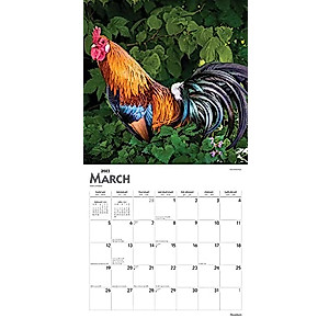 Roosters | 2023 12 x 24 Inch Monthly Square Wall Calendar | BrownTrout | Domestic Farm Barn Animals