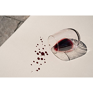 303 Fabric Guard - For Outdoor Fabrics - Restores Water Repellent Properties - Repels Moisture & Stains - Manufacturer Recommended - Safe For All Fabrics, 16oz (30605CSR) Packaging May Vary