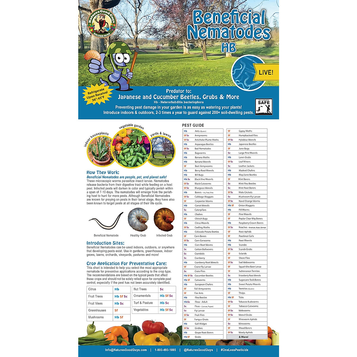 NaturesGoodGuys Beneficial Nematodes Heterohabditis bacteriophora HB -Ships from USA (25 Million)