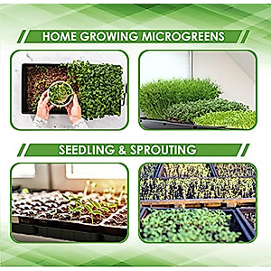 Germinator 6 Pack Premium Quality Seedling Trays, Microgreens Growing Trays, No Drain Holes, Heavy Duty, Durable Plastic, 1.5mm Thick, Plants Drip Tray, Best for Sprouting Vegetables and Wheatgrass