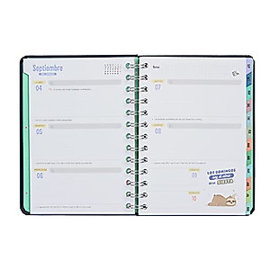 Mr. Wonderful, Wonder 2023-2024 Weekly Planner, Lots to Get and Thousand Dreams to Fulfill