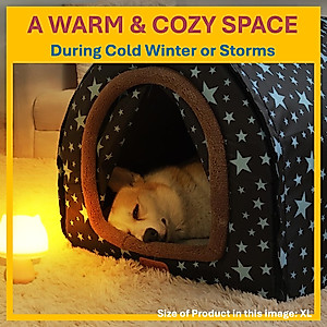 2 in 1 Extra Large Pet Winter House Convertible to Bed with Warm Cushion Mat, 2 Way Indoor Outdoor Portable Dog Kennel, Removable Washable Cover (XL Starry Sky)