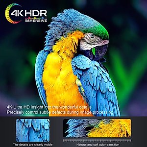 c-force Portable Monitor, 15.6'' 4K UHD Laptop Monitor USB C HDMI Computer Display HDR Eye Care External Screen w/Smart Cover for PC Mac Phone Xbox Switch PS5