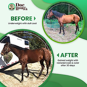 Doc Hoag’s Aloe Vera + Agave Natural Holistic Dog Supplements for Hair & Weight Loss - Also for Puppies, Cats & Other Small Animals by Original Udder Balm