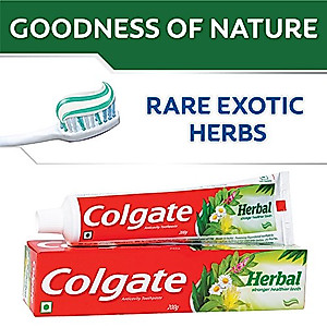 Colgate Anticavity Toothpaste Herbal