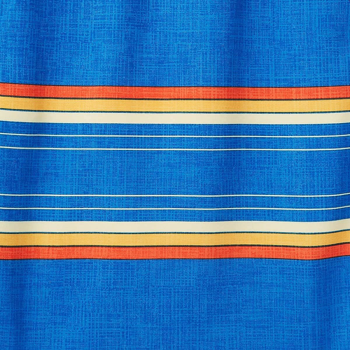 Speedo Mens Hydro Volley Swim Shorts (Speedo Blue Stripe, Large 34/36)