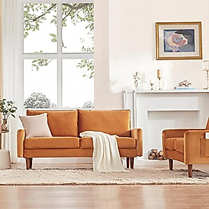 Dreamsir 58'' Mid Century Modern Sofa, Small Love Seats for Small Spaces, Velvet Couch with Two Storage Bags, Velvet Sofa for Living Room & Apartment (Loveseat, Ginger)