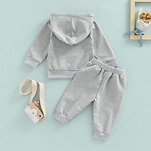 Endorothii Toddler Baby Boy Long Sleeve Solid Hoodies Sweatshirt Pants Outfit Set 2 Piece Sweatsuit Fall Clothes (Grey, 12-18 Months)