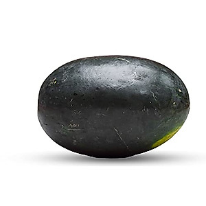 50 Black Diamond Watermelon Seeds for Planting - Heirloom Non-GMO Fruit Seeds for Planting - Grows Big Giant Watermelons Averaging 30-50 lbs