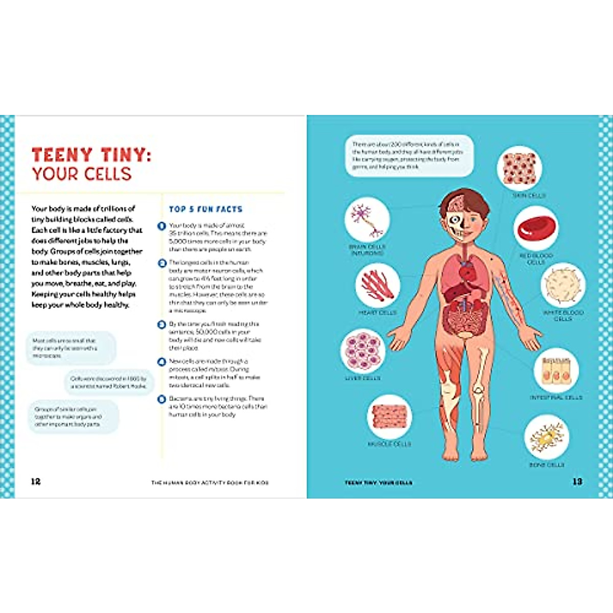 Human Body Activity Book for Kids: Hands-On Fun for Grades K-3