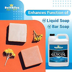 Bulk Bliss Propylene Glycol Food Grade Quart - USP Grade for Skin, Cosmetics, Humidors, Snow Globes (32 oz)