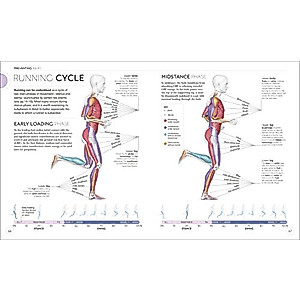 Science of Running: Analyze your Technique, Prevent Injury, Revolutionize your Training (DK Science of)