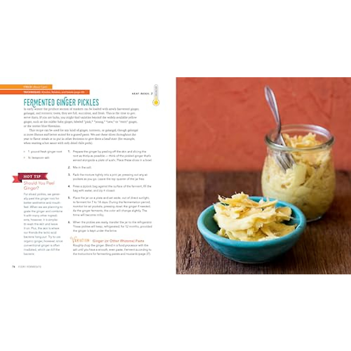 Fiery Ferments: 70 Stimulating Recipes for Hot Sauces, Spicy Chutneys, Kimchis with Kick, and Other Blazing Fermented Condiments