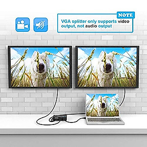 KELIIYO VGA Splitter 2 Port Powered Video Splitter with AC Adaptor 1 to 2 VGA Duplicator Support 1920X1440 Resolution 220 MHz Bandwidth for Screen Duplication