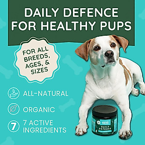 Premium Dog Allergy Relief & Immune Support (170 Chews) - Colostrum - Dog Probiotics - Promote A Healthy Gut - Support Against Seasonal Allergies - With Alaskan Salmon Oil - Turmeric - Made in The USA