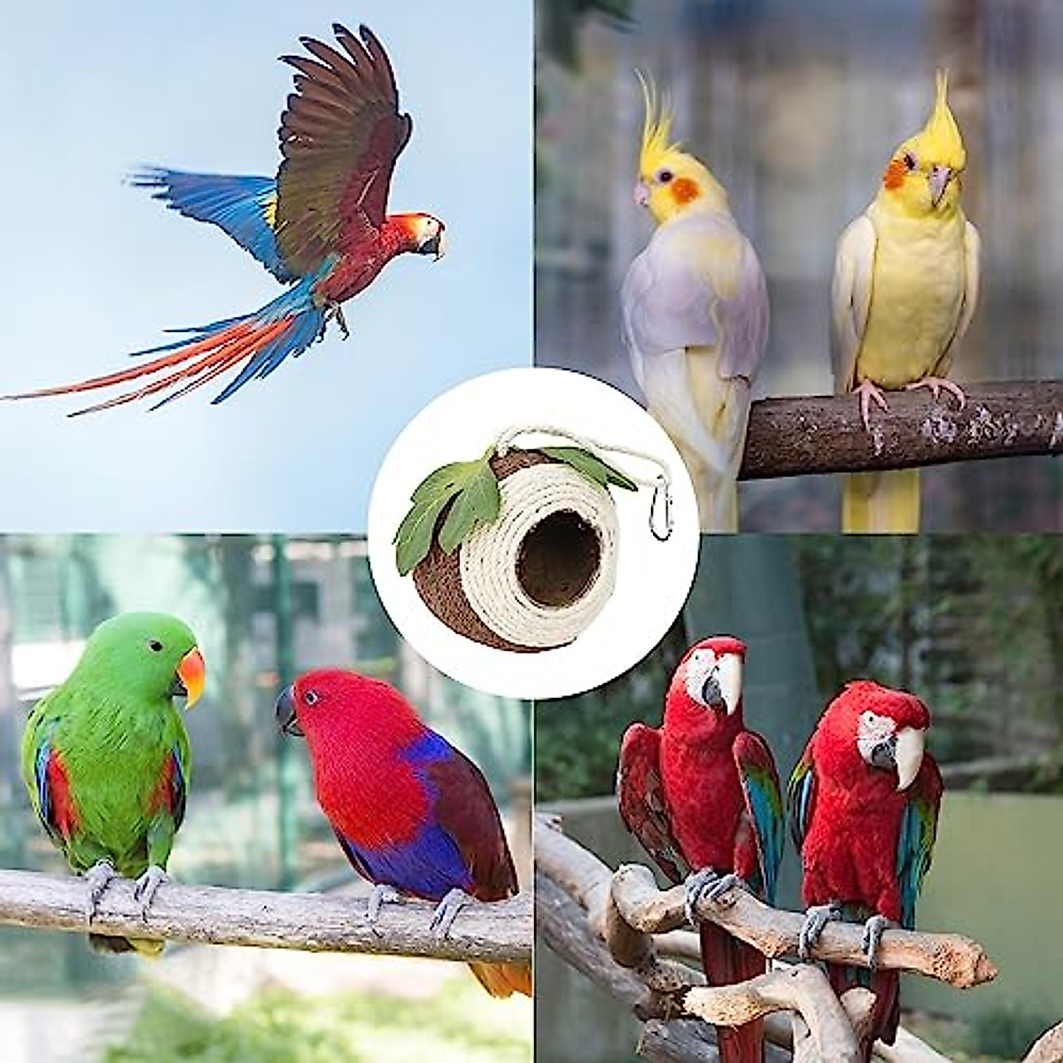 Coconut Bird House, Parrots Sparrows Coconut Nest,Coconut Shell Bird Nest House,Hand Woven Bird Nest for Parrots, Swallow, Conures, Sparrow