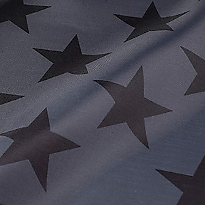 Black American Flags 3x5 ft - Vivid Color and Fade Proof - Canvas Header and Double Stitched - All Black US/USA Flag Polyester with Brass Grommets Outdoor Indoor (2 PACK)