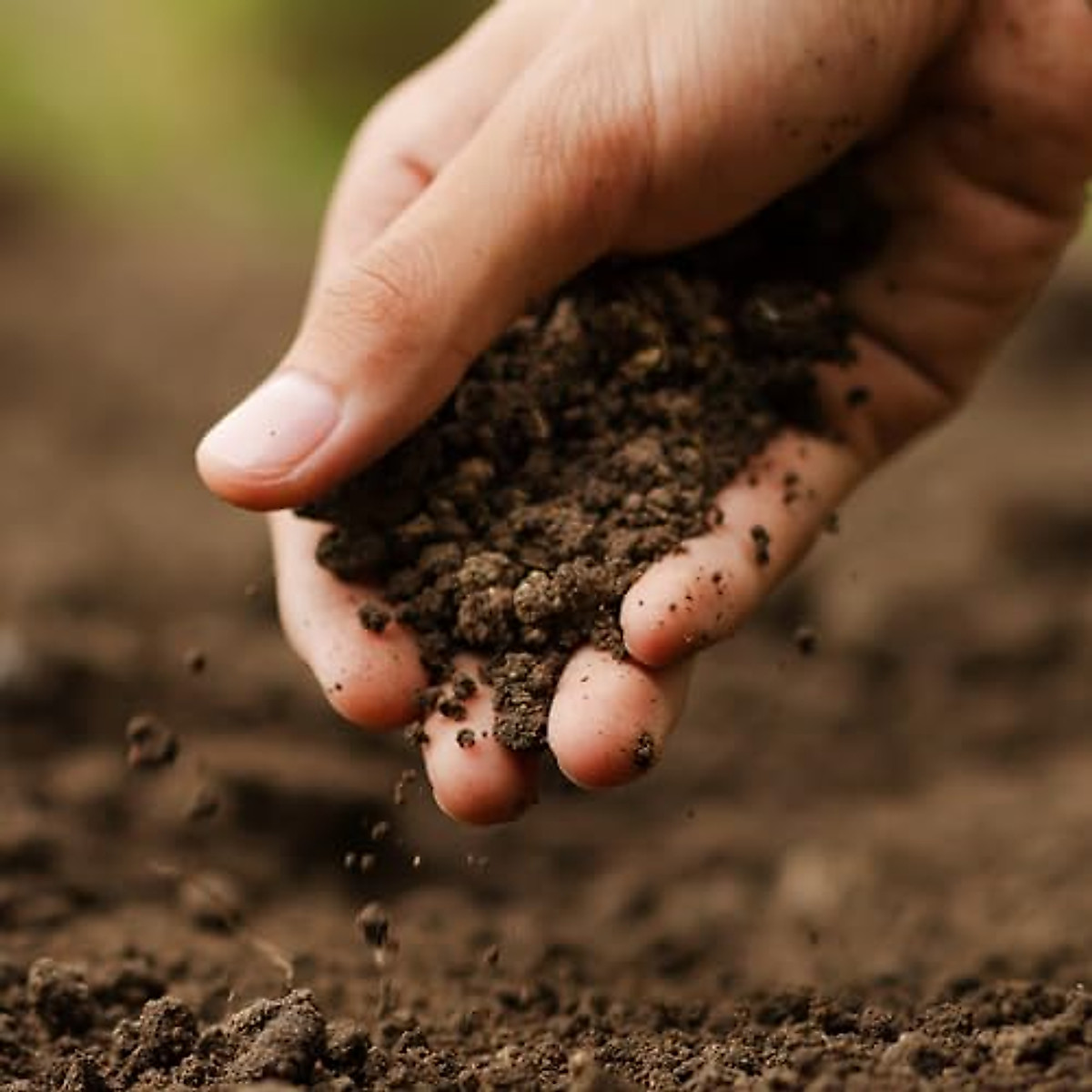 Michigan Peat 20 Pound Bag of Garden Magic General Purpose Moisture Retaining Potting Soil Mix for Indoor and Outdoor Planting