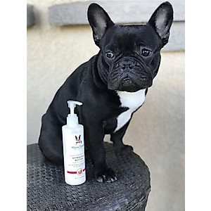 Warren London - Hydrating Butter For Dogs Skin & Coat,8 Oz,Pomegranate & Acai