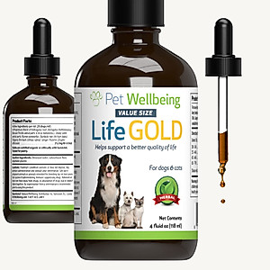 Pet Wellbeing More Mushrooms Kit for Dogs & Cats with Cancer - Value Size - Immune System Support and Antioxidant Protection - Turkey Tail, Reishi, Maitake, Astragalus, Blessed Thistle, Sheep Sorrel