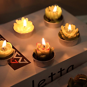 SCENTORINI Tealight Candles, 12 Pack Cactus Candles, Cute Tealight Candles for Christmas Decorations, Mini Delicate Candles, Unscented Candles Gift for Birthday Party Wedding Home Decor