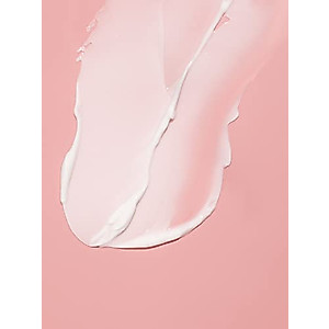 Alterna My Hair My Canvas Meltaway No-Rinse Micellar Cleanser 3.4 Fl Oz | Vegan | Fast Drying Creme-to-Powder Cleanser, Absorbs Oil & Sweat for Shower Clean Hair | Peta Tested, 3.4 fl. oz.