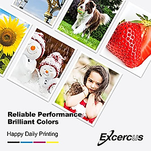 EXCERCUS CLI-281 Cyan Ink Cartridge Replacement for Canon CLI-281XXL 281XXL 281 Cyan Use for Canon PIXMA TS6320 TR7520 TS8120 TS8320 TR8520 TS9120 (2X CLI-281XXL C)