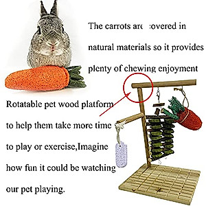 kathson Bunny Chew Toys for Teeth Grinding,Rabbit Wooden Scratch Board Feet Pad Rotatable Pet Play Toy for Chinchilla Guinea Pigs Other Rodent Pets