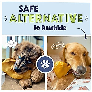 Pawstruck Pig Ears For Dogs-Bulk Pork Dental Treats Dog Chews 10 Ear(s)