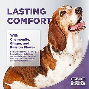 GNC Pets Ultra Calming Soft Chews, All Dogs, Peanut Butter Flavor. 15-oz Canister | Calming Dog Supplements | Calming Chews for Dogs in Peanut Butter Flavor, 60 Count