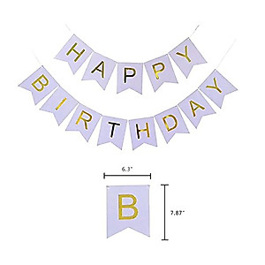 Monkey Home 20pcs of Tissue Paper Fans,Happy Birthday Banner Party Decorations Circle Dots,Paper Garland Tissue Paper Tassel for First Birthday Baby Shower Supplies (Rose Gold,Light Purple Theme)