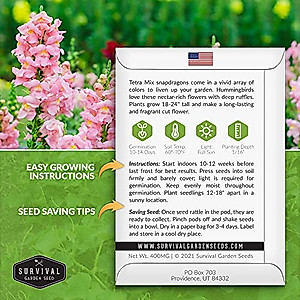 Survival Garden Seeds - Snapdragon Tetra Mix Seed for Planting - 2 Packs with Instructions to Plant and Grow Beautiful Colorful Flowers in Your Home Vegetable Garden - Non-GMO Heirloom Variety