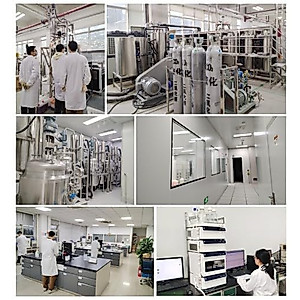 Akersunder Pramiracetam Powder, Purity 99+%, 5 Grams