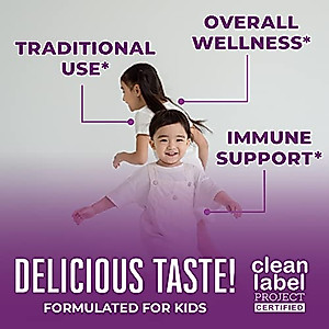 Kids Probiotic Drops & Kids Elderberry Drops by MaryRuth’s | USDA Organic Liquid Oral Probiotics for Digestive Health for Kids Ages 4+ | Gut Health, Immune Support, Overall Health for Ages 4+