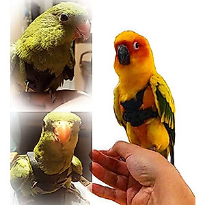 Bird Harness-Parrot Flight Belt Vest Adjustable Bird Leash Parrot Pet is an Outdoor Flight Training Rope for Small and Medium-Sized Birds (M, Yellow)