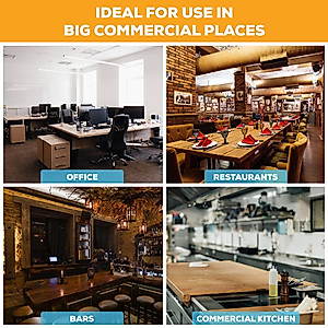 Gardner WS-95 Wall Sconce Fly Light Trap Lamp – Powerful Shatterproof UV Light - Hides Captured Flies, Mosquitoes, Other Insects – Kitchens, Restaurants, and Other Work Spaces (Stainless Steel)