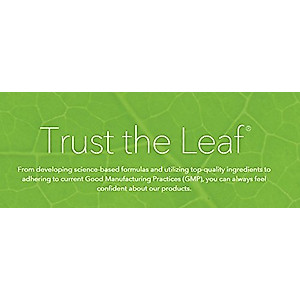 Nature's Way Echinacea Herb Capsules, 180 Count