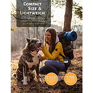 Wildley Camping Lantern, 600LM Camping Lights, 5 Light Modes Rechargeable Lantern Waterproof Mini Flashlight Emergency Lights for Home Power Failure, Camping Hanging, Car Camping (Black)