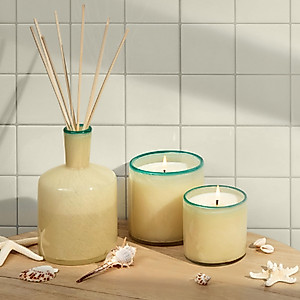 LAFCO New York Reed Diffuser Refill, French Lilac - 8.4 oz - Up to 4-Month Fragrance Life - Includes Natural Wood Reeds - Free of Dyes & Propellants - Made in The USA