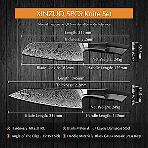 XINZUO 5-piece Damuscus Kitchen Knife Set,67 Layer Hand Forged Damascus Steel Professional Chef Knife Set with Gift Box, G10 Black Handle,Razor Sharp-Feng Series