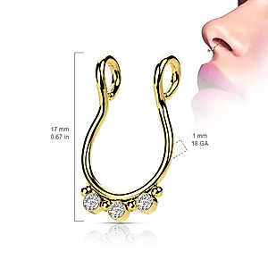 Pierced Owl 18GA 316L Stainless Steel CZ Crystal and Ball Lined Fake Septum Ring (Silver Tone)