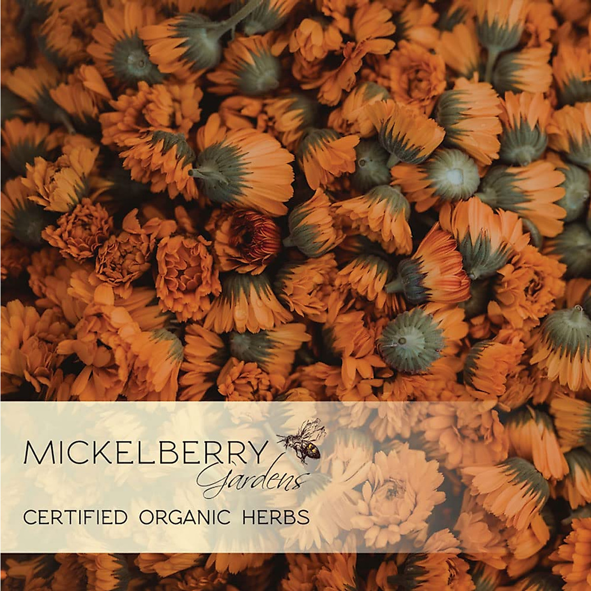 Herbal Baby Salve, Natural Diaper Rash Ointment - Organic Calendula Body Products for Babies (1 ounce)