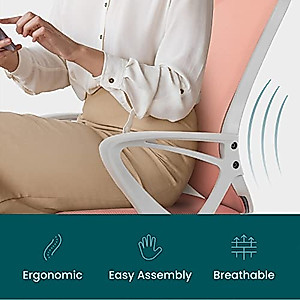 Office Chair, Desk Chair Mid Back Computer Chair Ergonomic Office Chair Mesh Computer Desk Chair with Lumbar Support Armrest, Executive Height Adjustable Swivel Task Chair for Women Adults