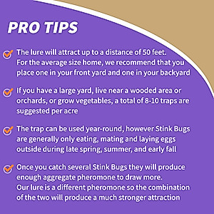 Bonide Bug Beater Stink Bug Trap, Attracts and Catches Stink Bugs Indoors and Outdoors, Long Lasting and Odorless Protection