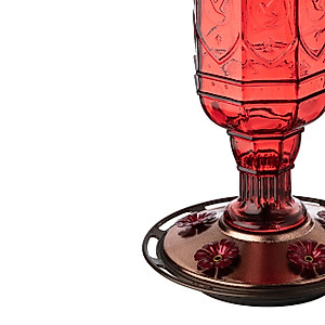 More Birds Red Jewel Hummingbird Feeder, Glass Hummingbird Feeders for Outdoors, 5 Feeding Stations, 20 Ounces